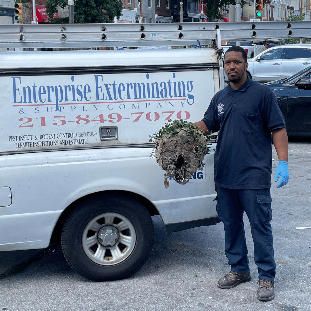 Pest Control Philadelphia | Enterprise Exterminating